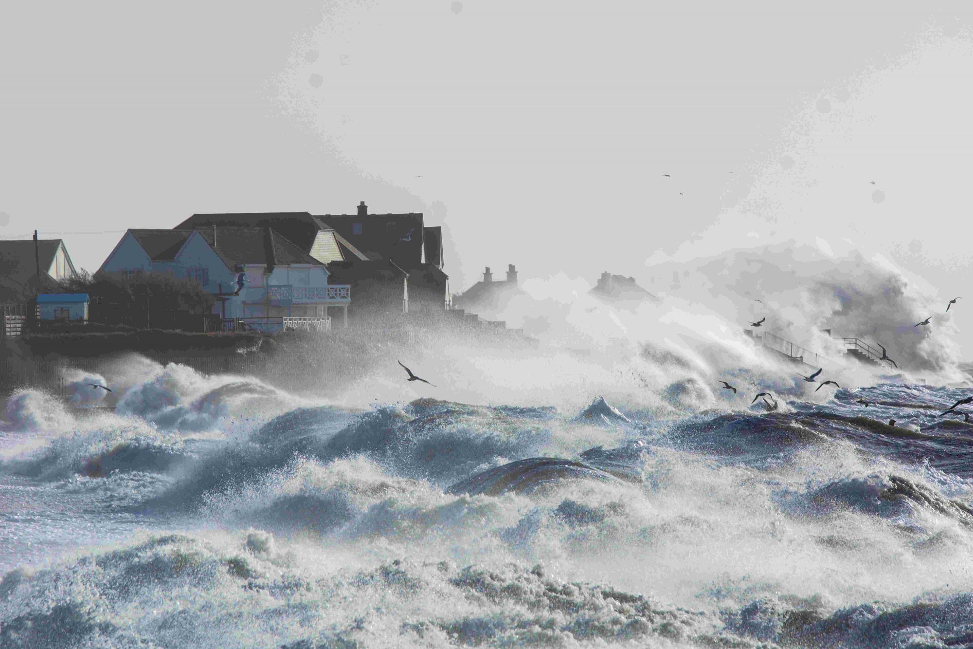 Selsey Coastal Scheme — Coastal Partners